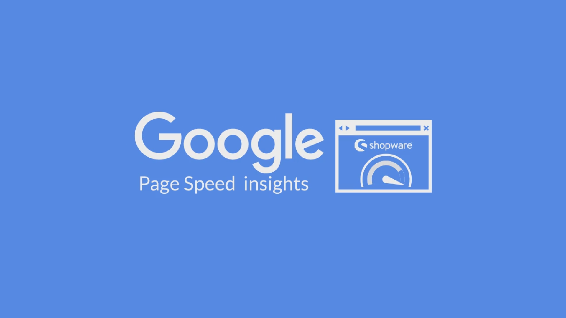 The problem with Google Page Speed Insights & Shopware