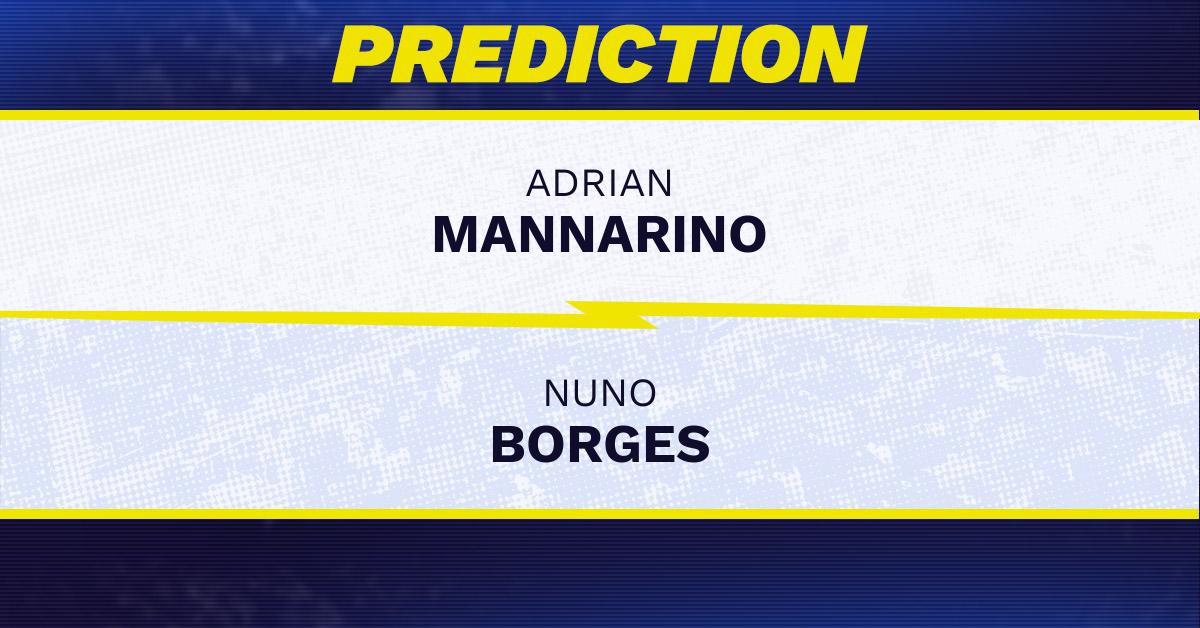 Adrian Mannarino vs. Nuno Borges Prediction, Odds, Picks for ATP ...