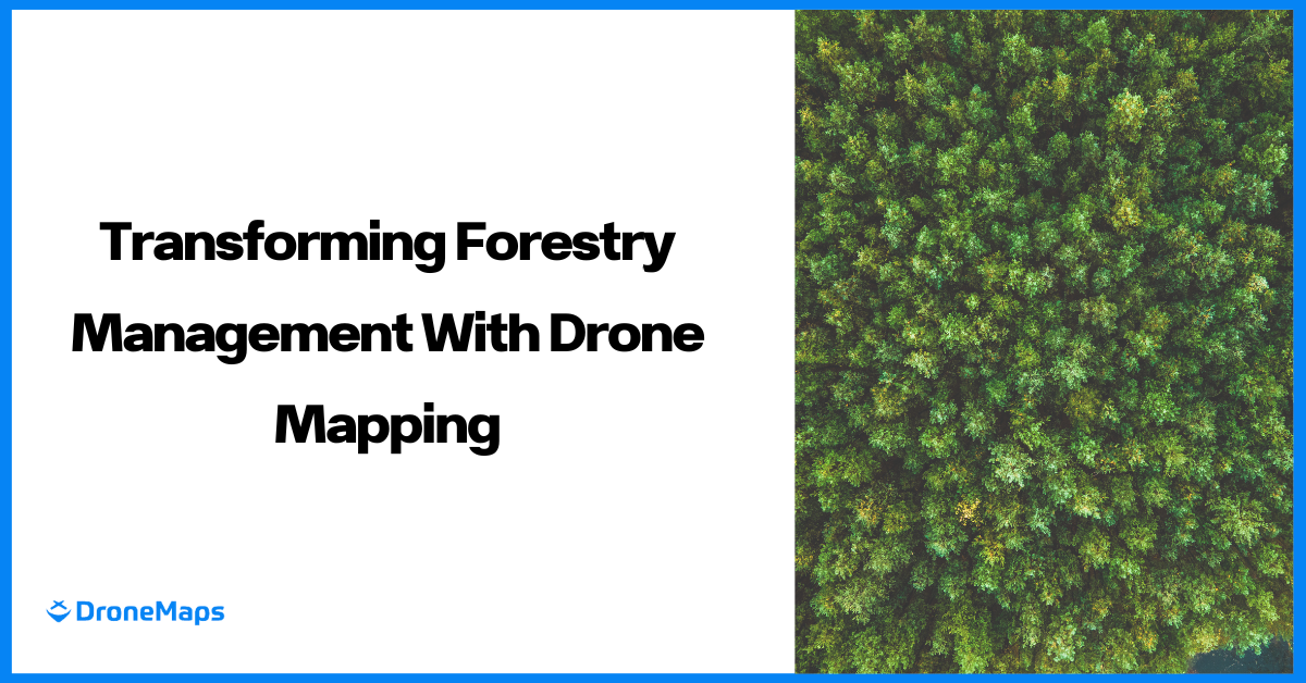 Transforming Forestry Management With Drone Mapping