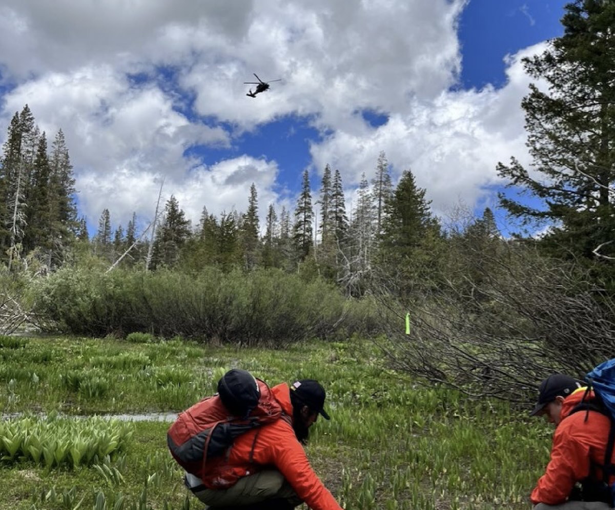 The Mountain Messenger
