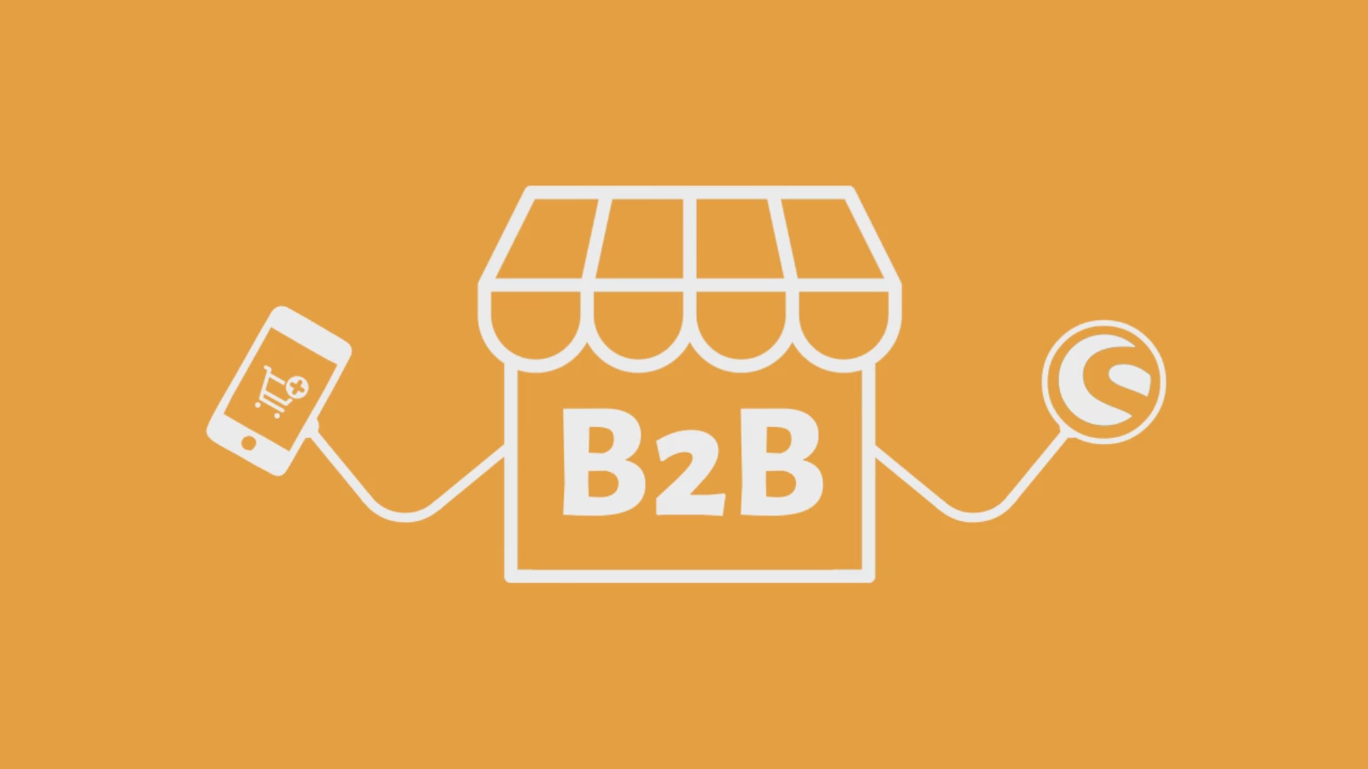 What is important for a B2B online shop with Shopware?