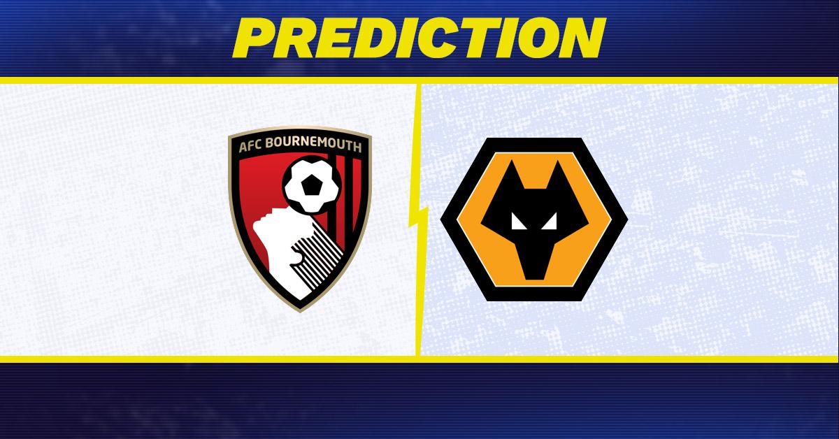 Bournemouth vs. Wolves Prediction, Odds, Premier League Picks [2/22/2025]