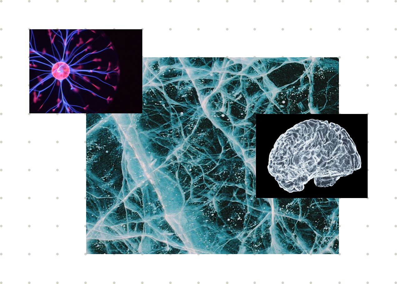 Academia Neuroscience and Brain Research - Academia.edu