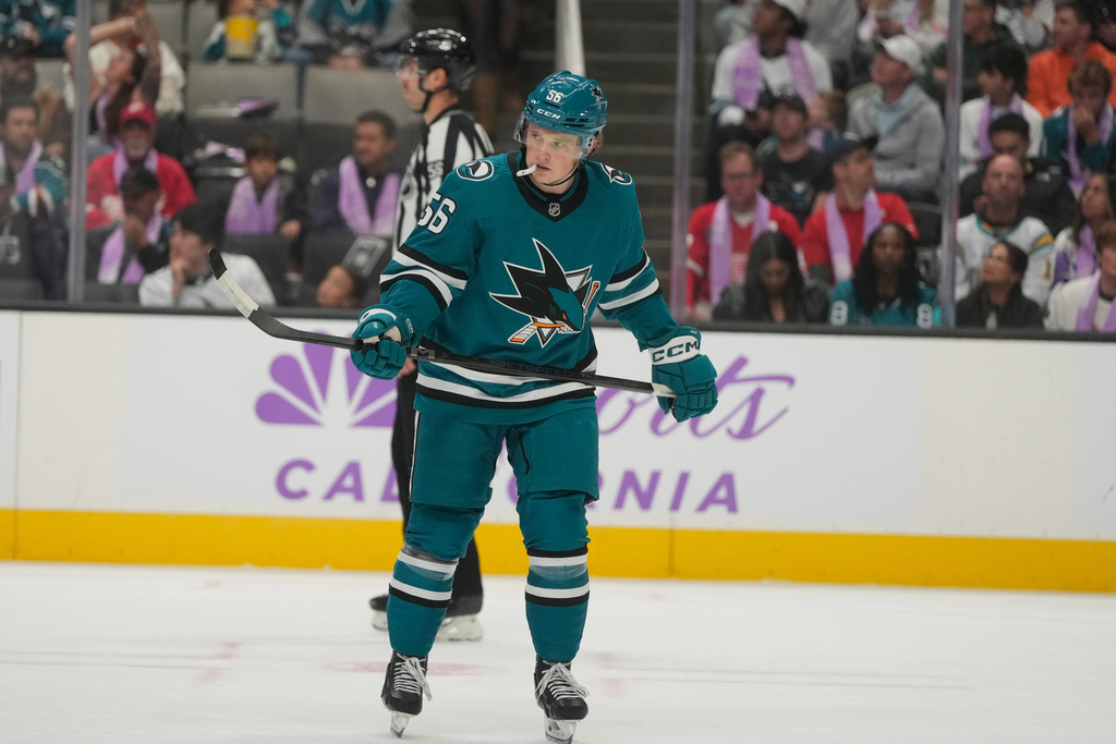 NHL player props today: Friday's best props include Alex Steeves [12/18 ...